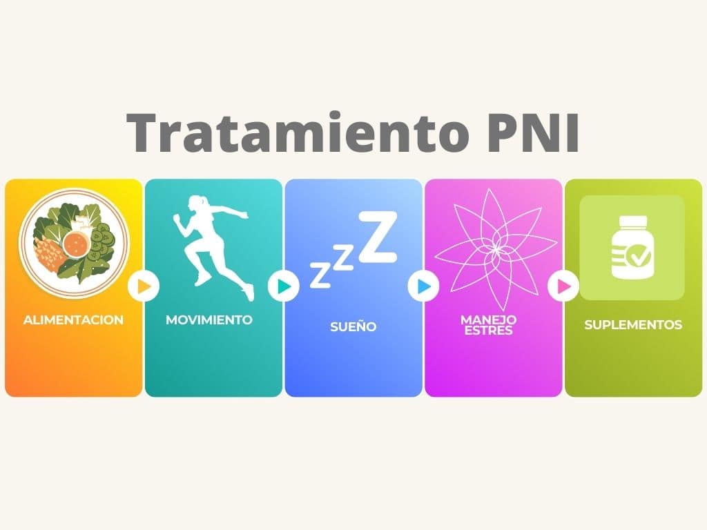 ¿Que es PNI?