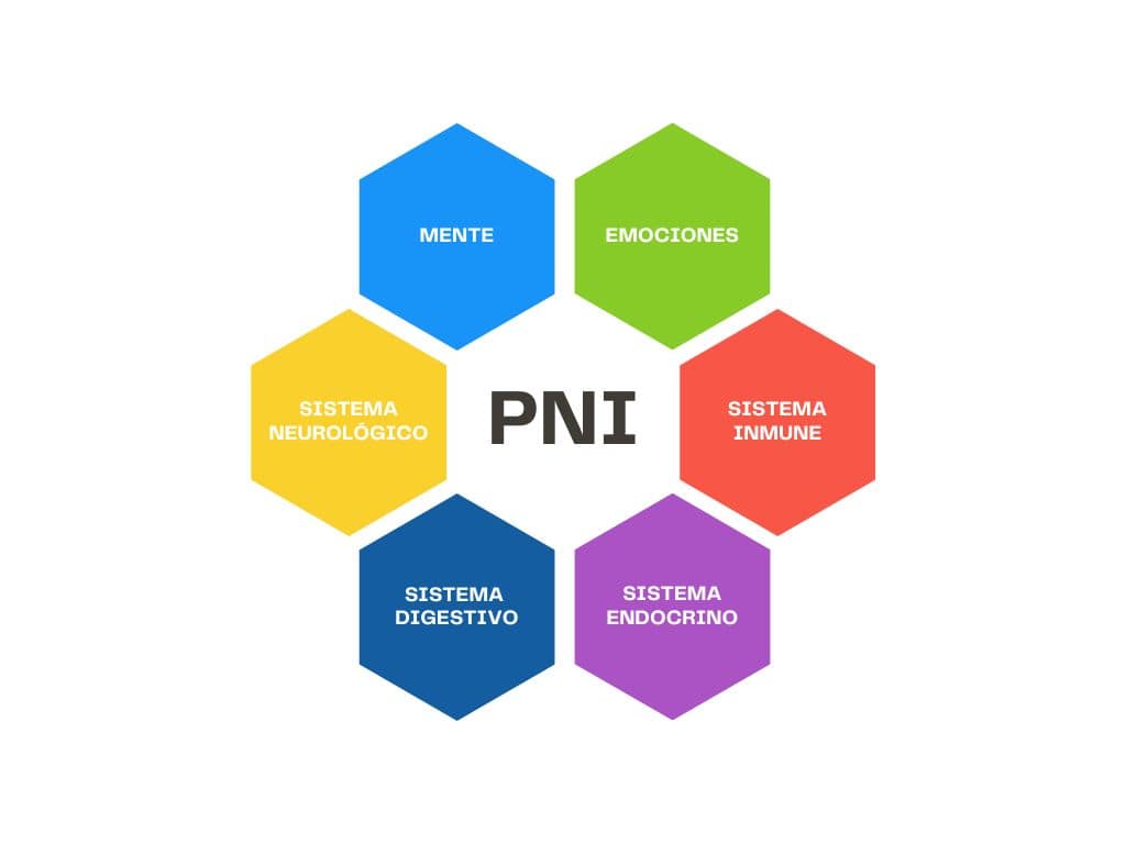 ¿Que es PNI?